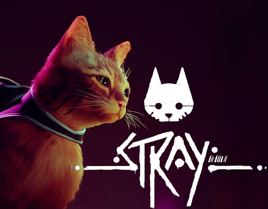 Stray