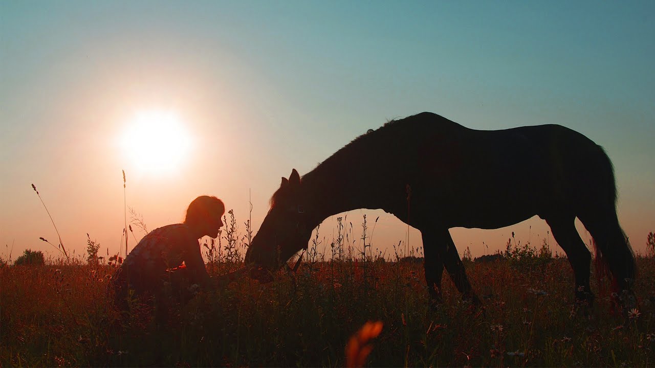 ЛЮБЭ НА ГАРМОНИ