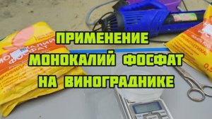 Виноградник