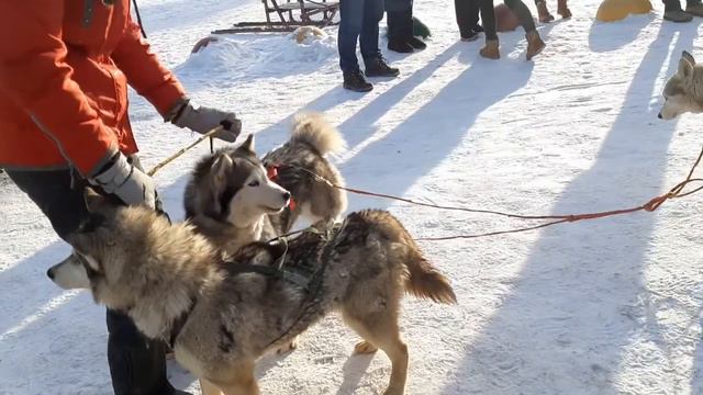 Пешеходные экскурсии по Пензенской области