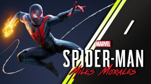 Spider Man: Miles Morales