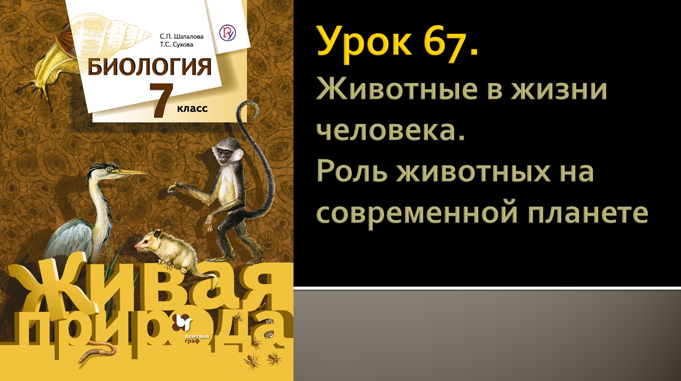 Биология 7 класс – смотреть онлайн все 68 видео от Биология 7 класс в  хорошем качестве на RUTUBE