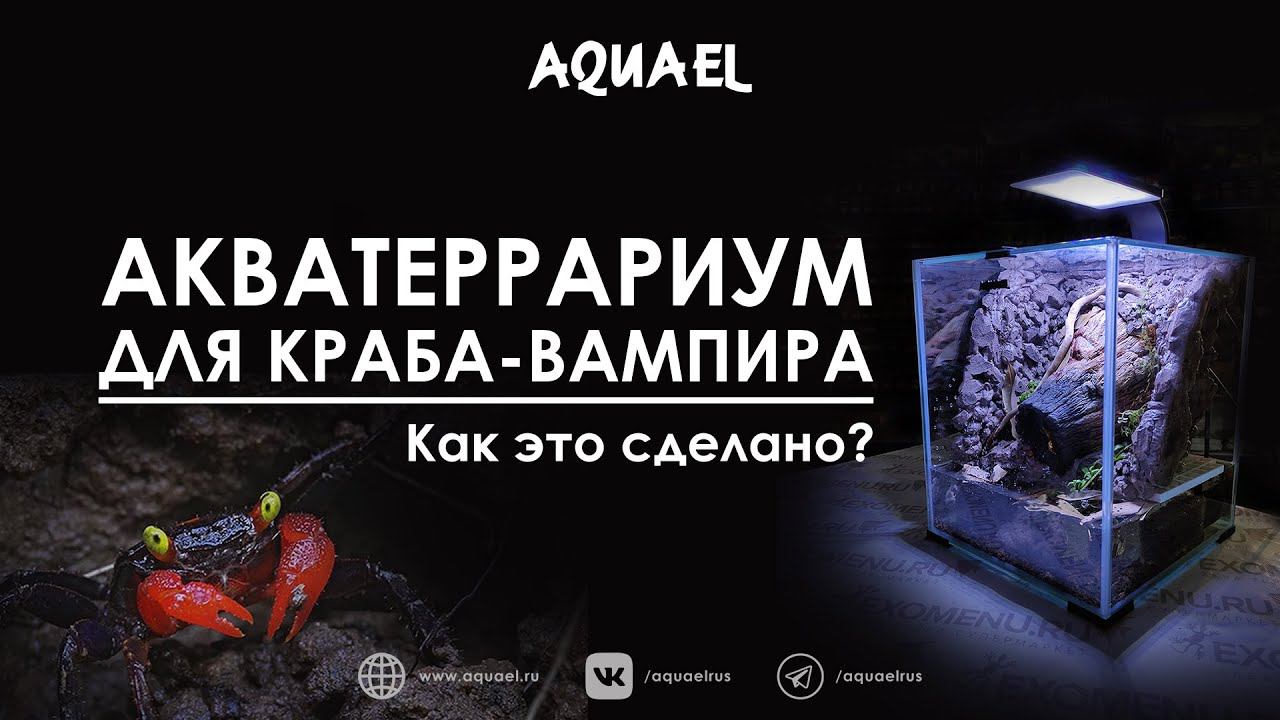 Аквариумы AQUAEL ShrimpSet (Акваэль ШримпСет)