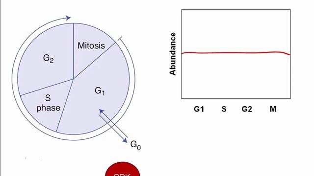 1/16 БИОХИМИЯ - (2021) USMLE RX - Biochemistry