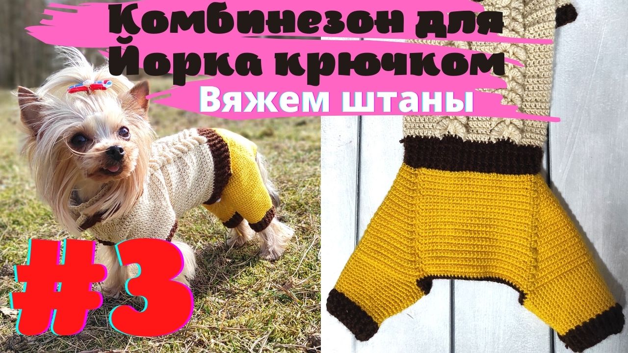 Вяжем свитер с капюшоном для собаки) Видео Мк