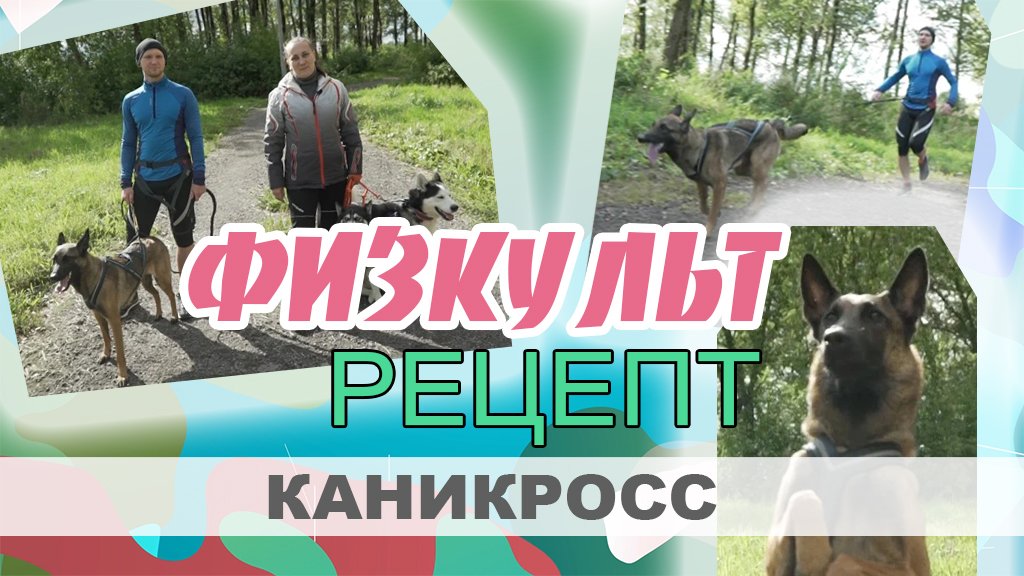 Физкультрецепт