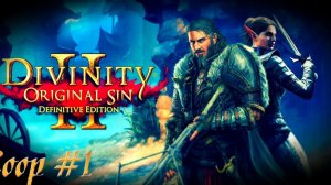 Divinity Original Sin 2