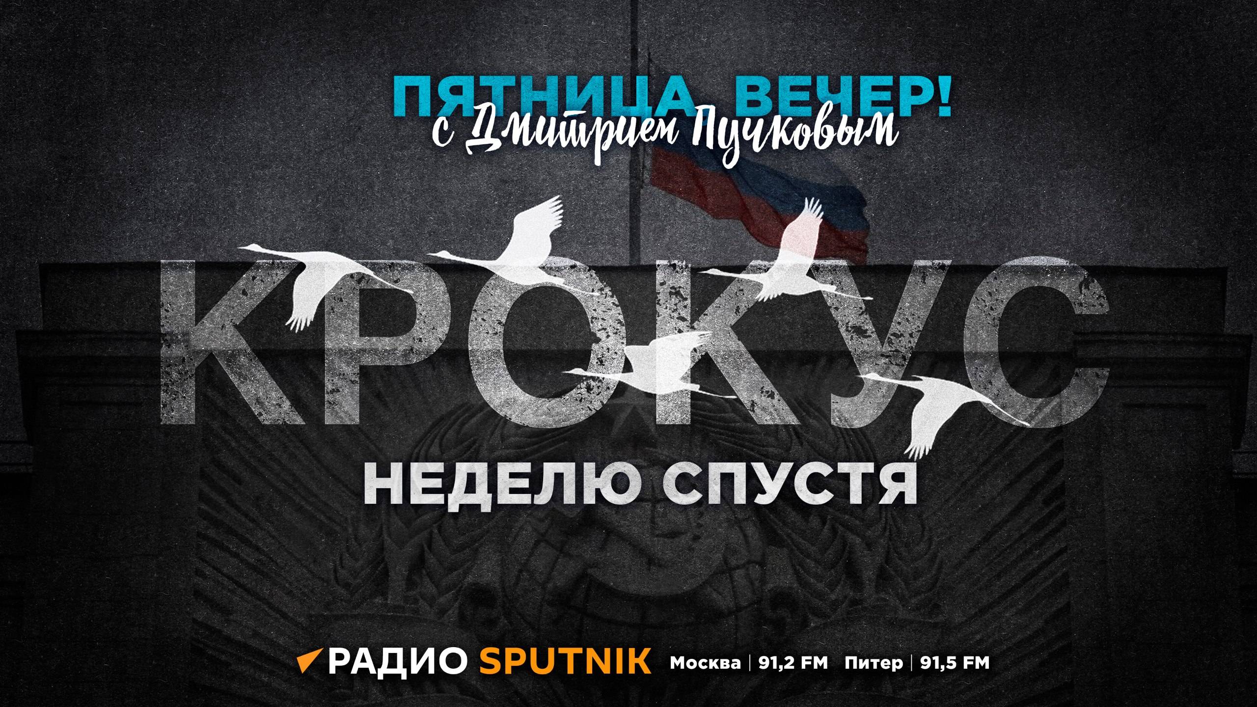 Дмитрий Пучков. Заказчики и исполнители теракта в "Крокусе", след Украины, работа Telegram