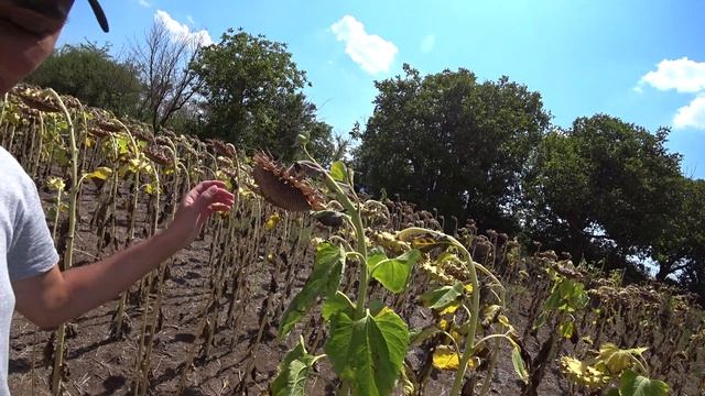 Дикарем в Крым 2019