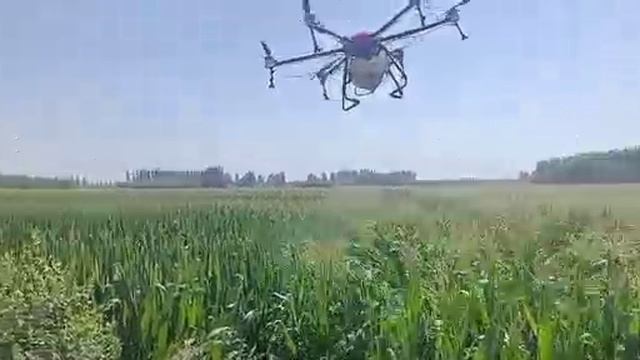 Сельскохозяйственные дроны из Китая