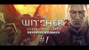 The Witcher 2 - Убийца королей