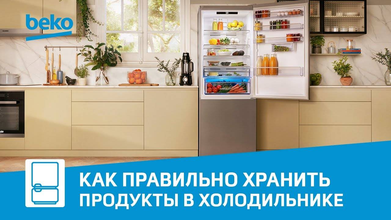 Холодильники и морозильные камеры купить в интернет-магазине в Москве и Санкт-Петербурге