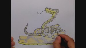 Как нарисовать рептилию
