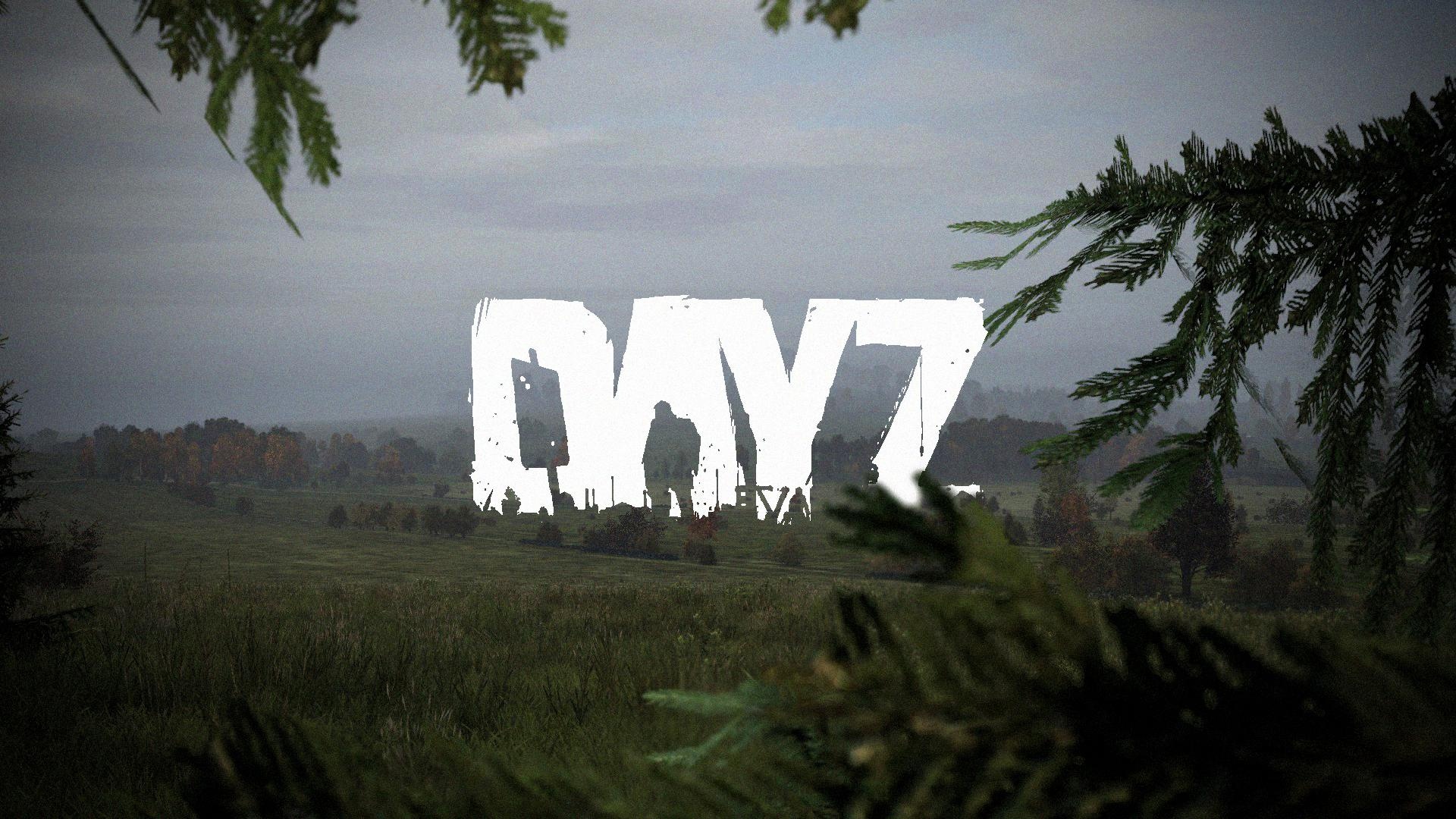 DayZ