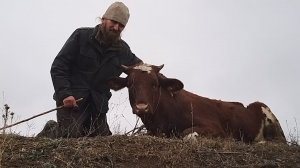 Трудовая деятельность. Послушания.