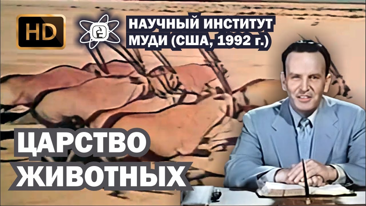 Russian Institute Порно Видео | altaifish.ru
