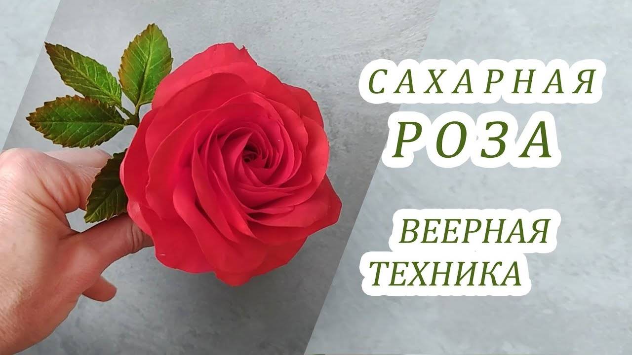 Цветы из сахарной мастики