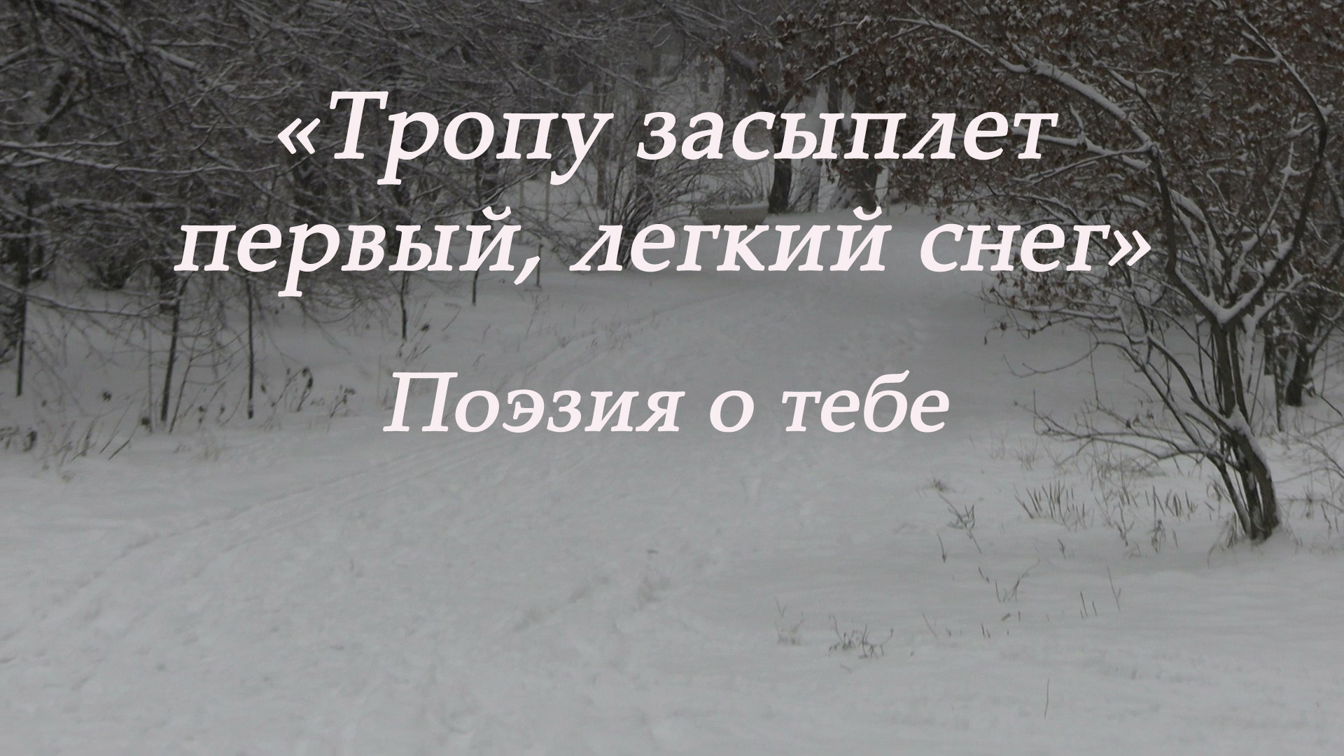 Русская музыкальная поэзия поэт Иван Картышев – смотреть онлайн все 3 видео  от Русская музыкальная поэзия поэт Иван Картышев в хорошем качестве на  RUTUBE