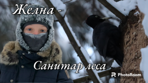 Репортажи из Ленинградской области