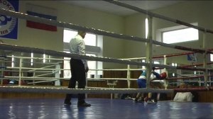Бокс - Участие в соревнованиях - 2017 г.
