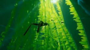 ABZU