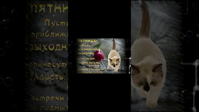 Пятница 13-е Музыкальная Открытка — смотреть онлайн видео ...