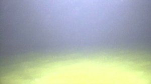 Подводная камера,Видео 2022г.