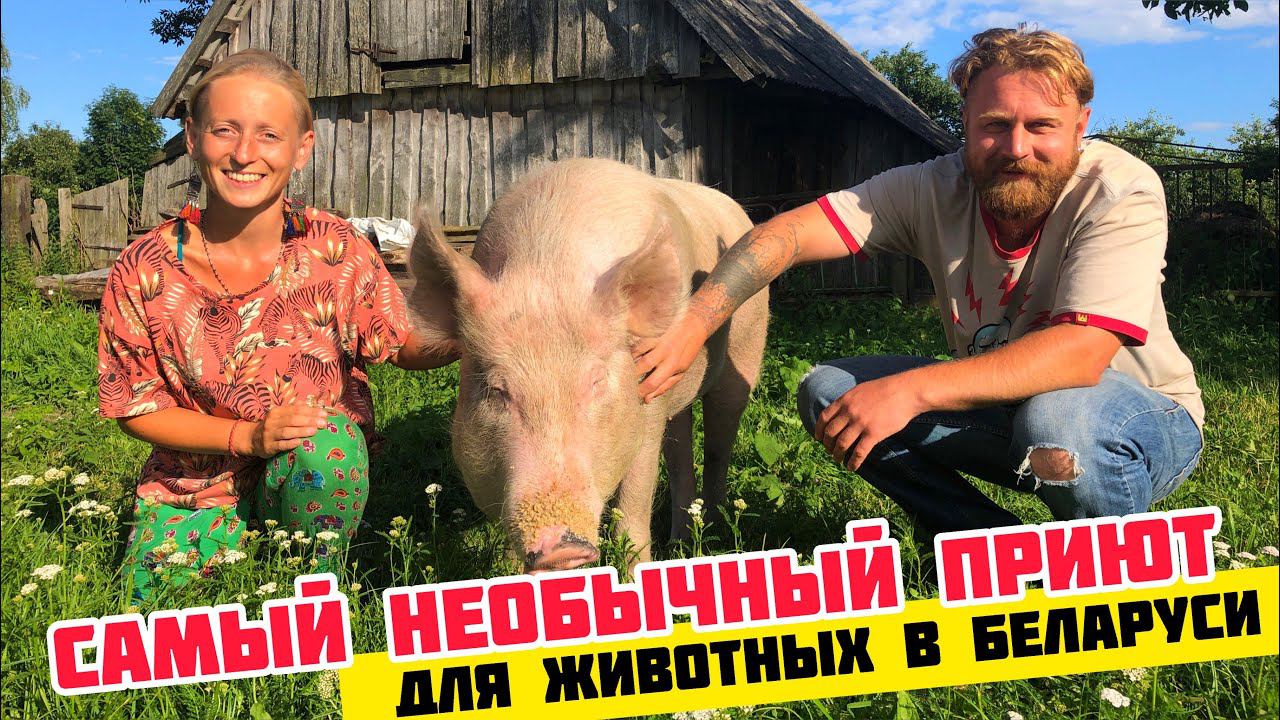 🚲 БЕЛАРУСЬ на велосипедах