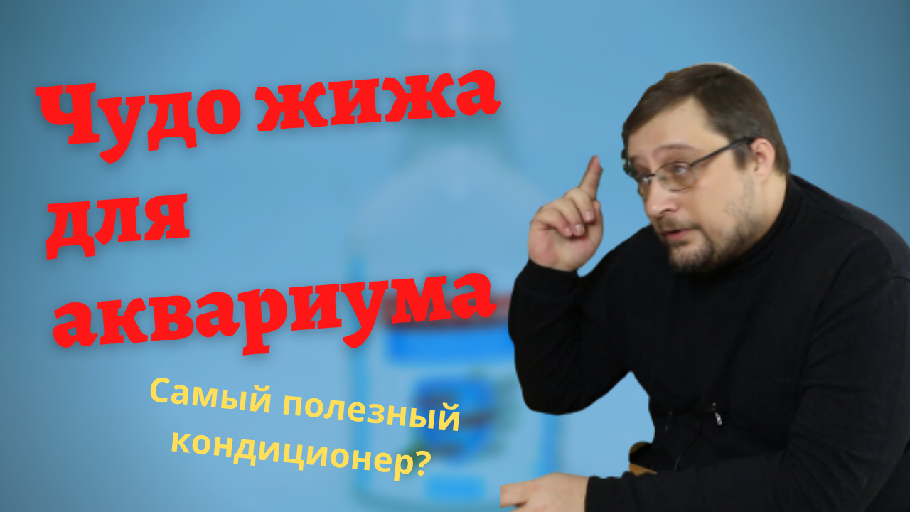 Аквариум – смотреть онлайн все 5 видео от Аквариум в хорошем качестве на  RUTUBE