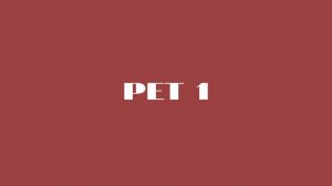 Программа PET 1