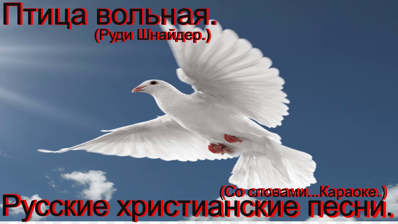 Руди Шнайдер. Христианские песни.(Караоке.) – смотреть онлайн все 10 видео  от Руди Шнайдер. Христианские песни.(Караоке.) в хорошем качестве на RUTUBE