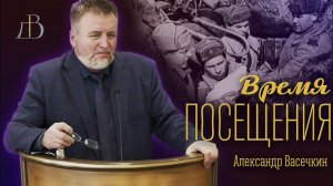 Александр Васечкин