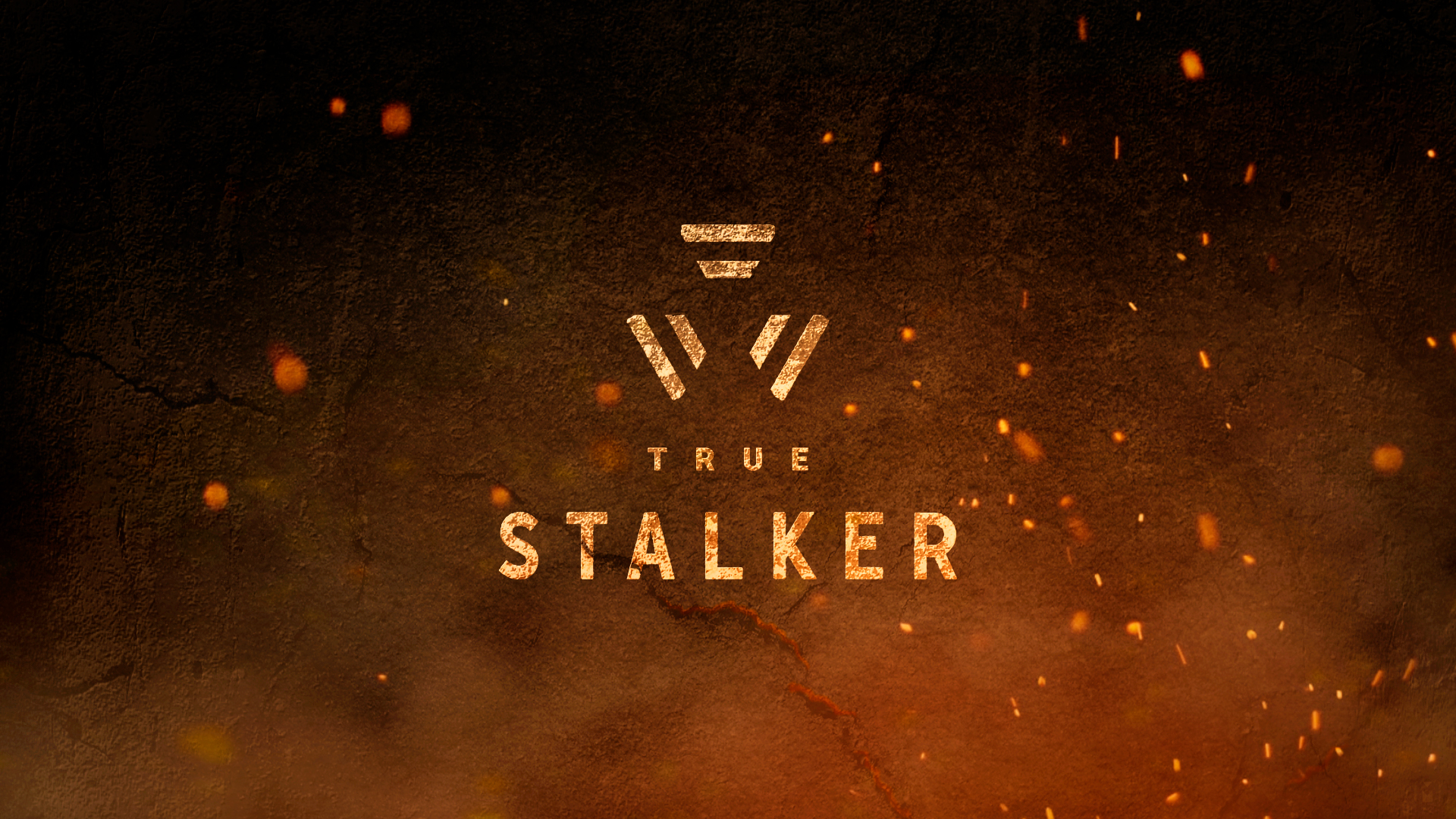 S.T.A.L.K.E.R. True Stalker