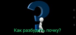 Бонсай из Облепихи с самого начала