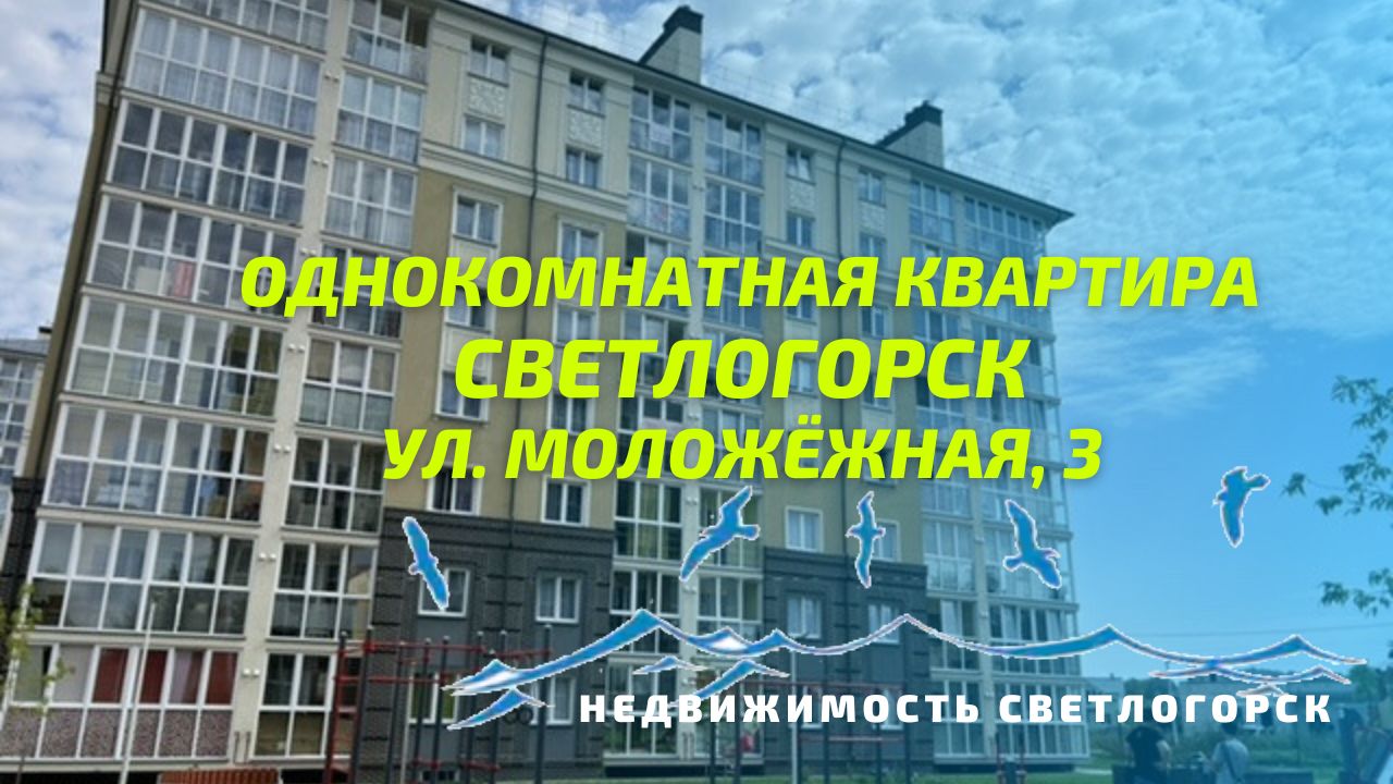 Купить Квартиру В Светлогорске У Моря