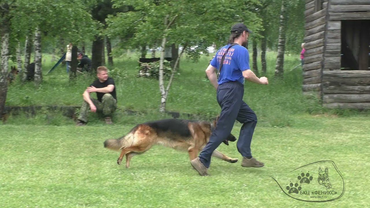 Соревнования ″Военизированная полоса препятствий″