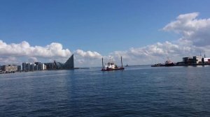 Регата больших парусников, порт г. Орхус, Дания. 2 авг. 2019