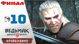 Прохождение Ведьмак 3 Дикая охота | Witcher 3 Wild Hunt