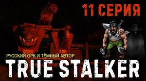 TRUE STALKER (Модификация Зов Припяти).