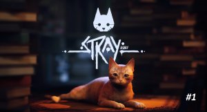 STRAY