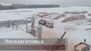 Производство ООО «ГРУППА ФОРЕСТ»