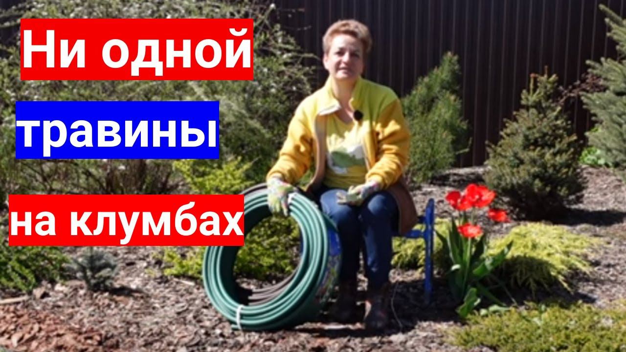 КЛУМБЫ