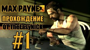 Max Payne 3