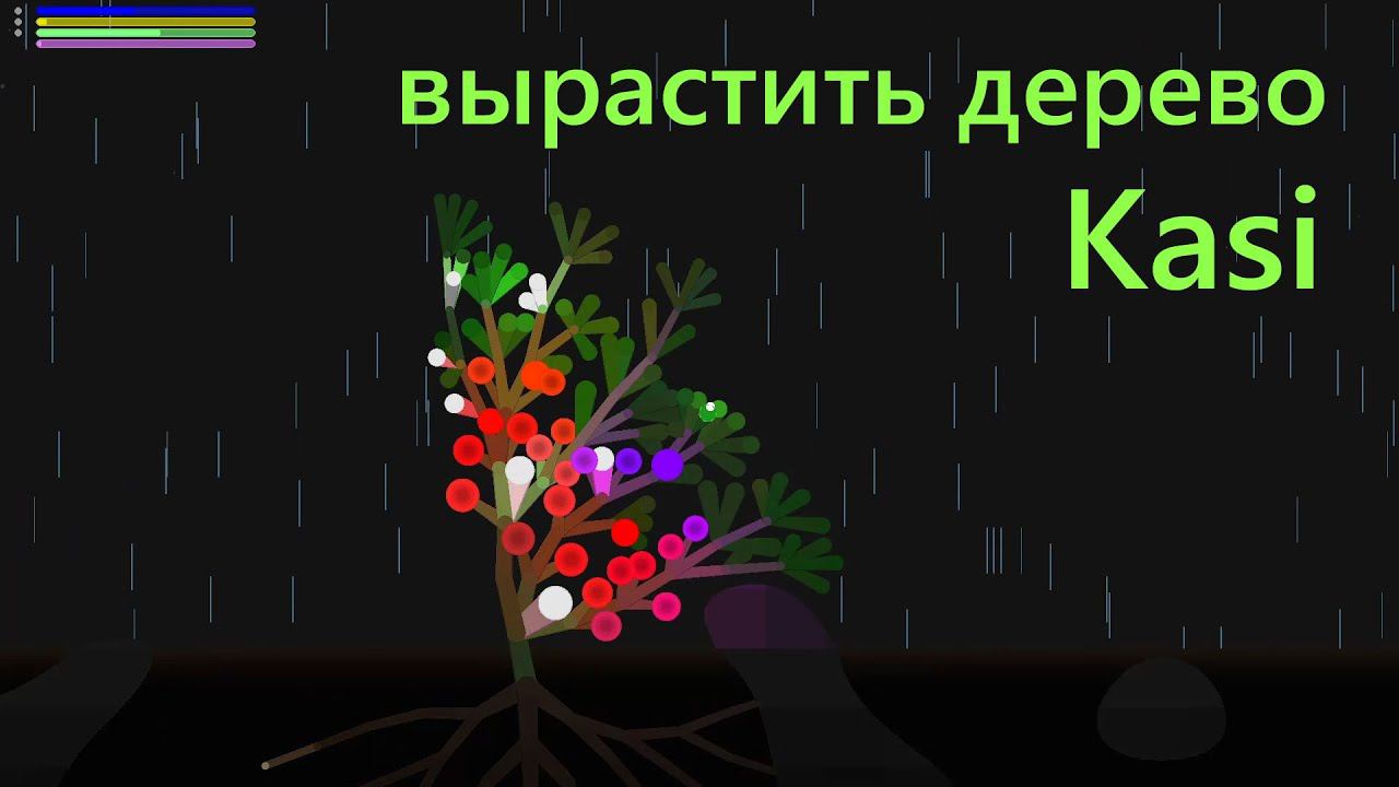 Обзоры и разное видео