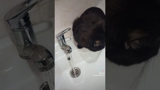 1000064342.mp4