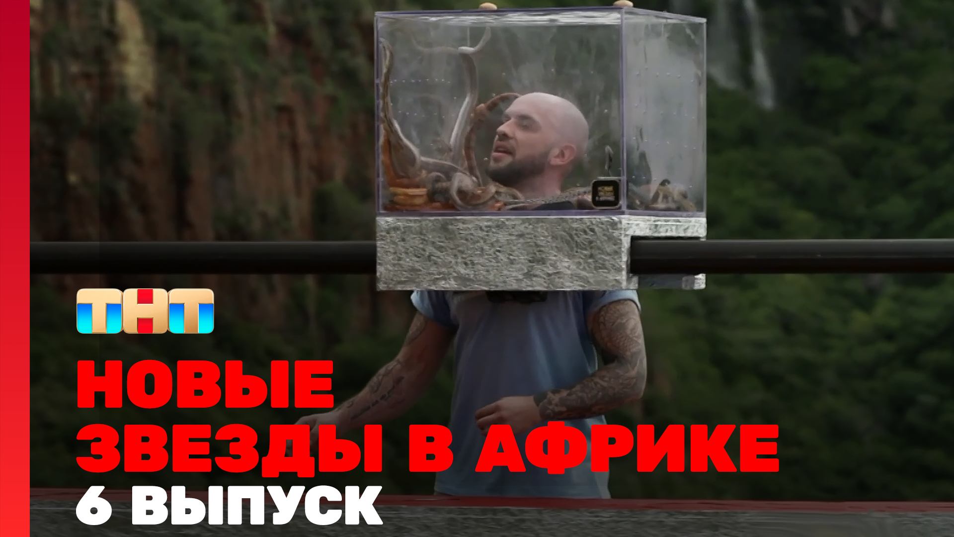 Новые Звёзды в Африке, 6 выпуск