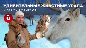 Челябинская область | U-Travel