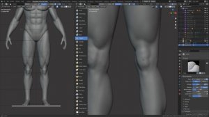 Anatomy and Form in Blender 2.91 - Sculpting Course