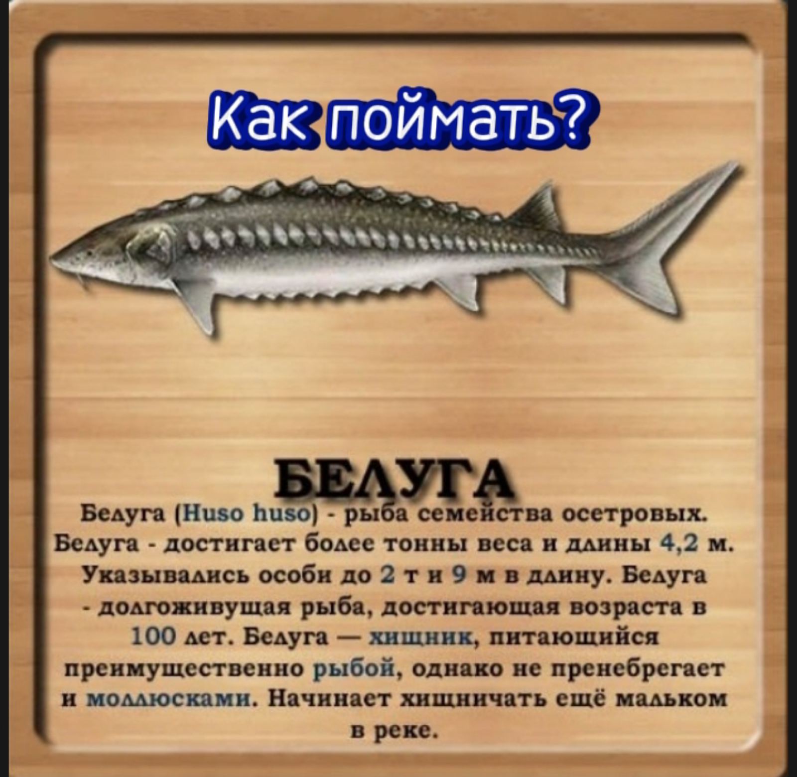 Река Волга, реальная рыбалка. – смотреть онлайн все 3 видео от Река Волга,  реальная рыбалка. в хорошем качестве на RUTUBE