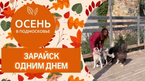 Осень в Подмосковье